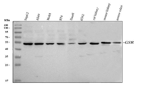Glutathione Reductase