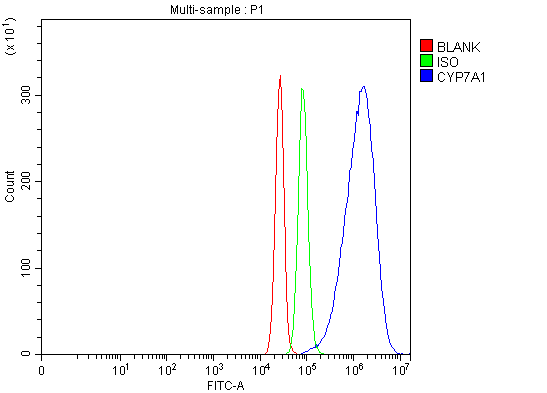 Anti-CYP7A1 Antibody Picoband™| Bosterbio