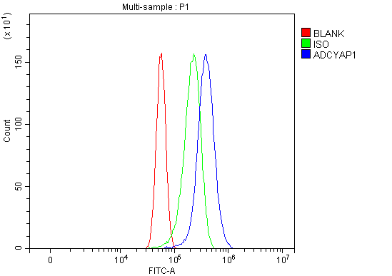 PACAP-38/ADCYAP1 Antibody