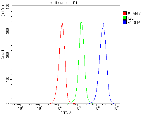 VLDL Receptor/VLDLR Antibody