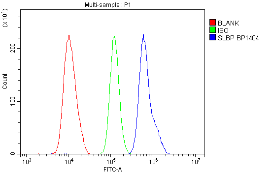 Anti-SLBP Antibody Picoband™ | Bosterbio