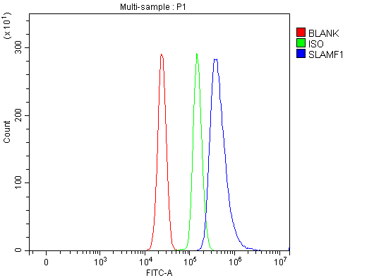 SLAM/CD150/SLAMF1 Antibody