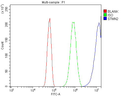 Anti-SCG10/STMN2 Antibody Picoband™| Bosterbio
