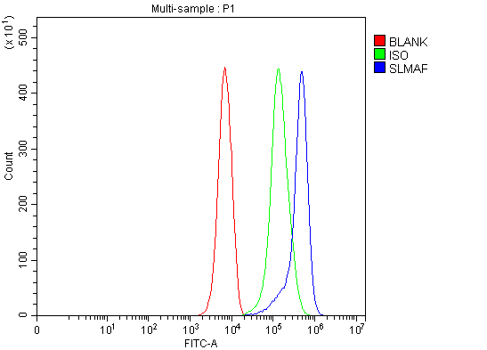 SLMAP Antibody