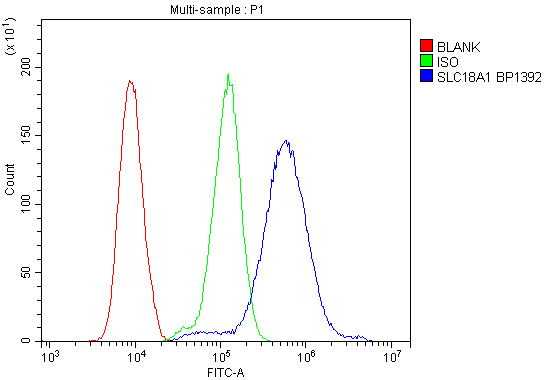 VMAT1/SLC18A1 Antibody