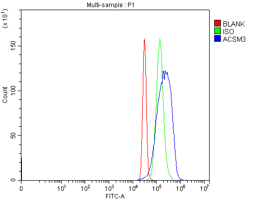 SAH/ACSM3 Antibody