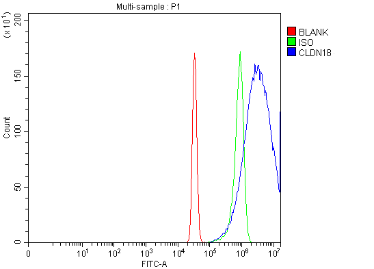 Claudin18/CLDN18 Antibody