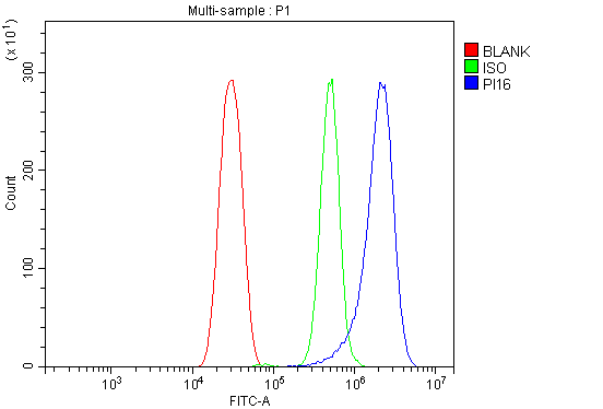 Anti-PI-16/PI16 Antibody Picoband™| Bosterbio