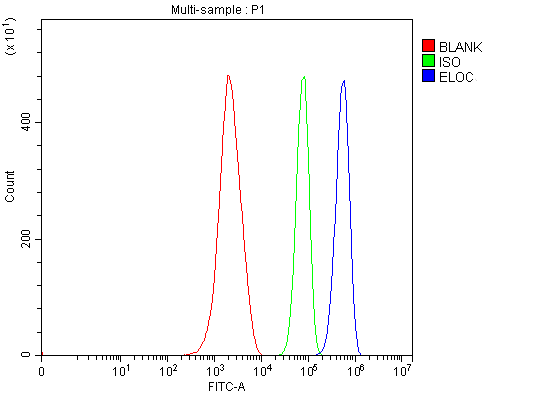 Elongin-C/ELOC Antibody