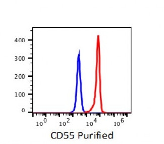 human CD55/Daf Monoclonal Antibody Unconjugated, Flow Validated