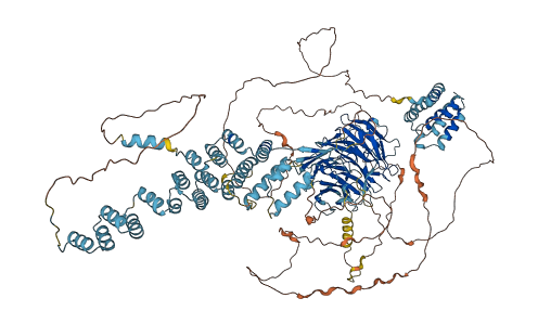 SEC31A Antibodies & ELISA Kits, SEC31A Proteins