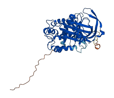 SERPINE1 Antibodies & ELISA Kits, Serpin E1/PAI-1 Proteins