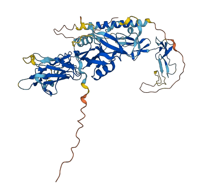 THBD Antibodies & ELISA Kits, Thrombomodulin/BDCA-3 Proteins