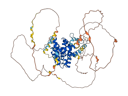 NR1D1 Antibodies & ELISA Kits, Rev-erb A alpha/NR1D1 Proteins