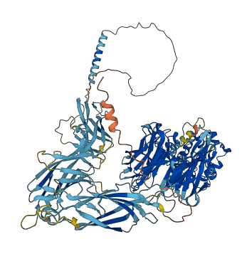 ITGAL Antibodies & ELISA Kits, ITGAL Proteins