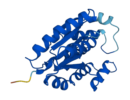 DTYMK Antibodies & ELISA Kits, DTYMK Proteins