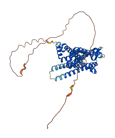 ADORA2A Antibodies & ELISA Kits, Adenosine A2aR Proteins