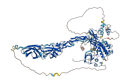 EPHB2 Antibodies & ELISA Kits, EPHB2 Proteins