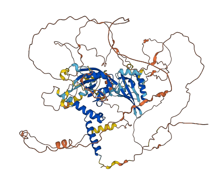AHR Antibodies & ELISA Kits, AHR Proteins
