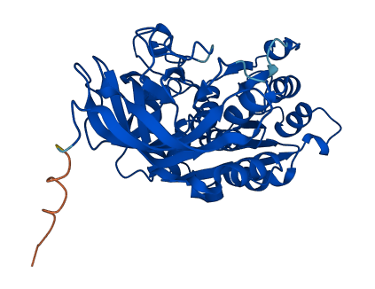 ADH7 Antibodies & ELISA Kits, alcohol dehydrogenase 7 Proteins