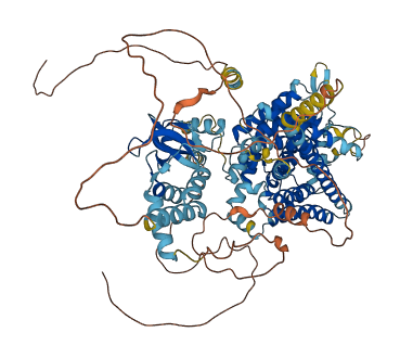 CLCN2 Antibodies & ELISA Kits, CLCN2 Proteins