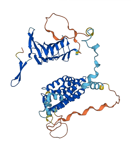 CAP1 Antibodies & ELISA Kits, CAP1 Proteins