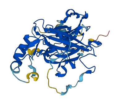PDCD2 Antibodies & ELISA Kits, PDCD2 Proteins