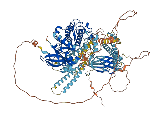 PKN1 Antibodies & ELISA Kits, PKN1 Proteins