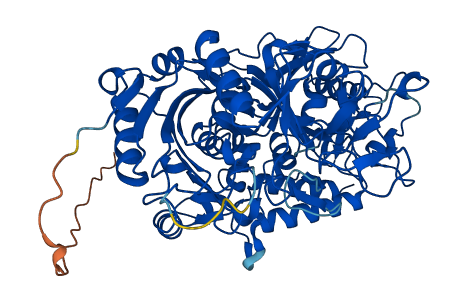 PCK2 Antibodies & ELISA Kits, PCK2 Proteins