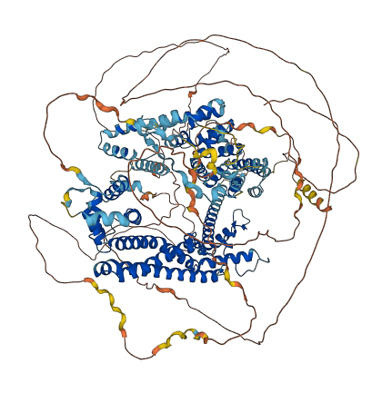 INF2 Antibodies & ELISA Kits, INF2 Proteins