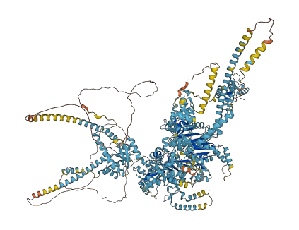AK9 Antibodies & ELISA Kits, AKD1 Proteins