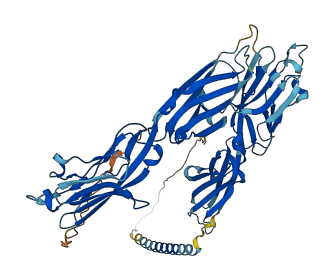 CD276 Antibodies & ELISA Kits, B7-H3/CD276 Proteins