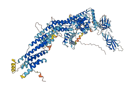 CADPS Antibodies & ELISA Kits, CADPS Proteins