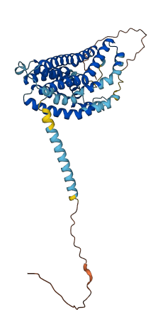 GPR132 Antibodies & ELISA Kits, G2A/GPR132 Proteins