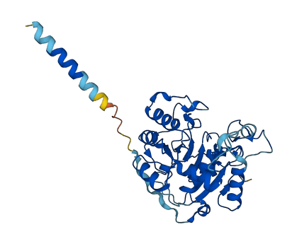 ST3GAL6 Antibodies & ELISA Kits, ST3GAL6 Proteins