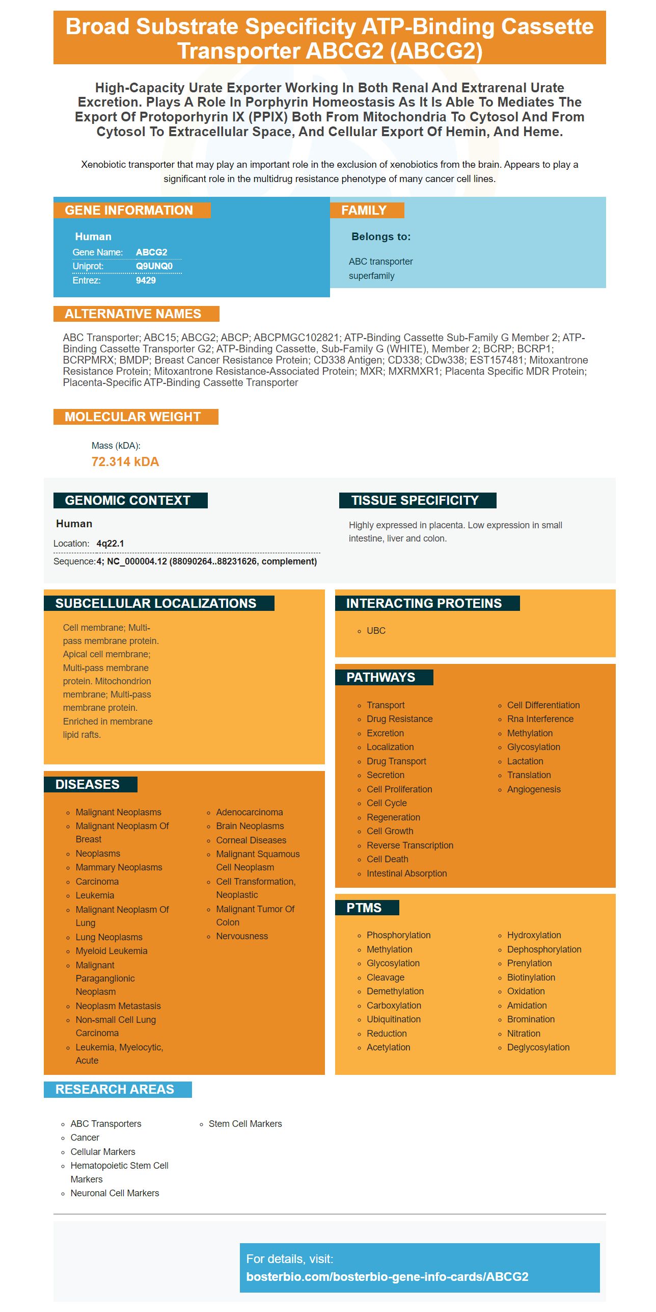 ABCG2 Antibodies & ELISA Kits, ABCG2/CD338 Proteins