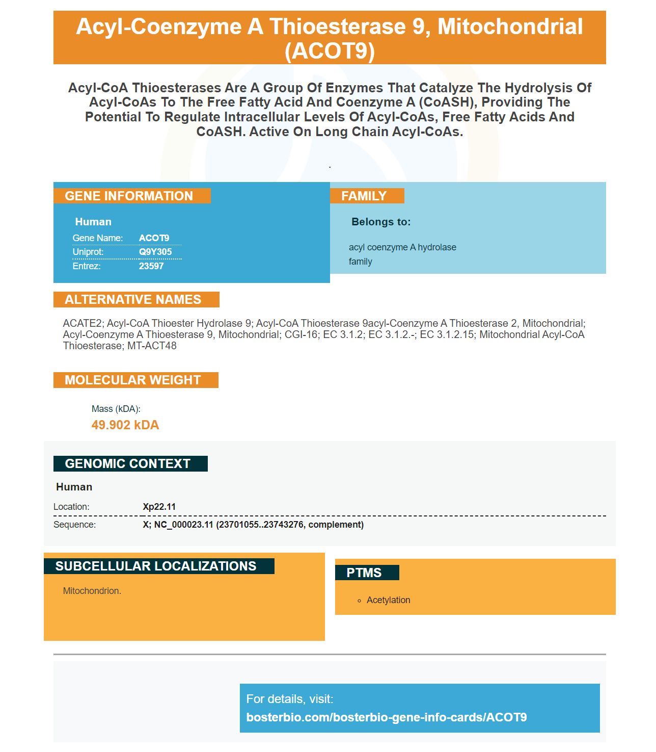 ACOT9 Antibodies & ELISA Kits, CGI-16 Proteins