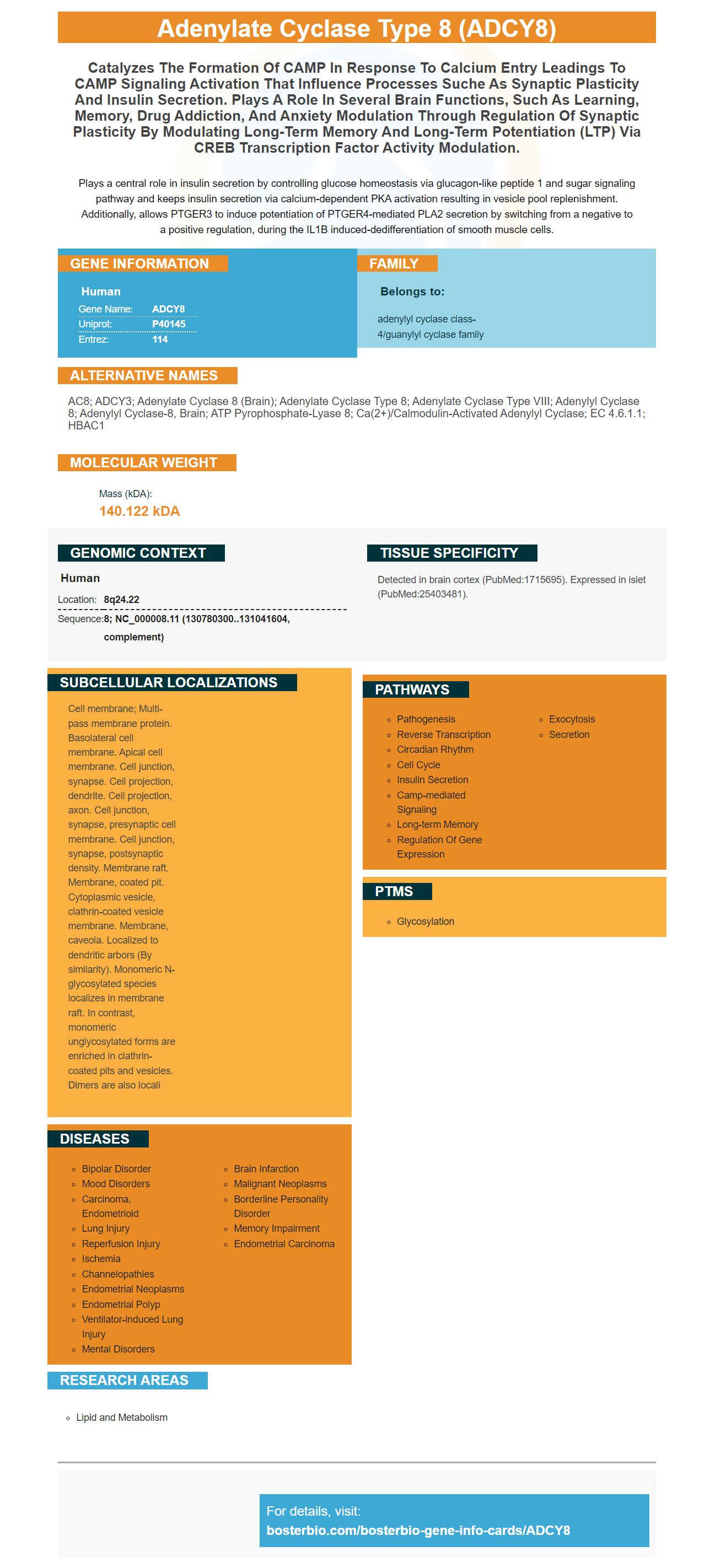 ADCY8 Antibodies & ELISA Kits, Adenylate Cyclase 8 Proteins
