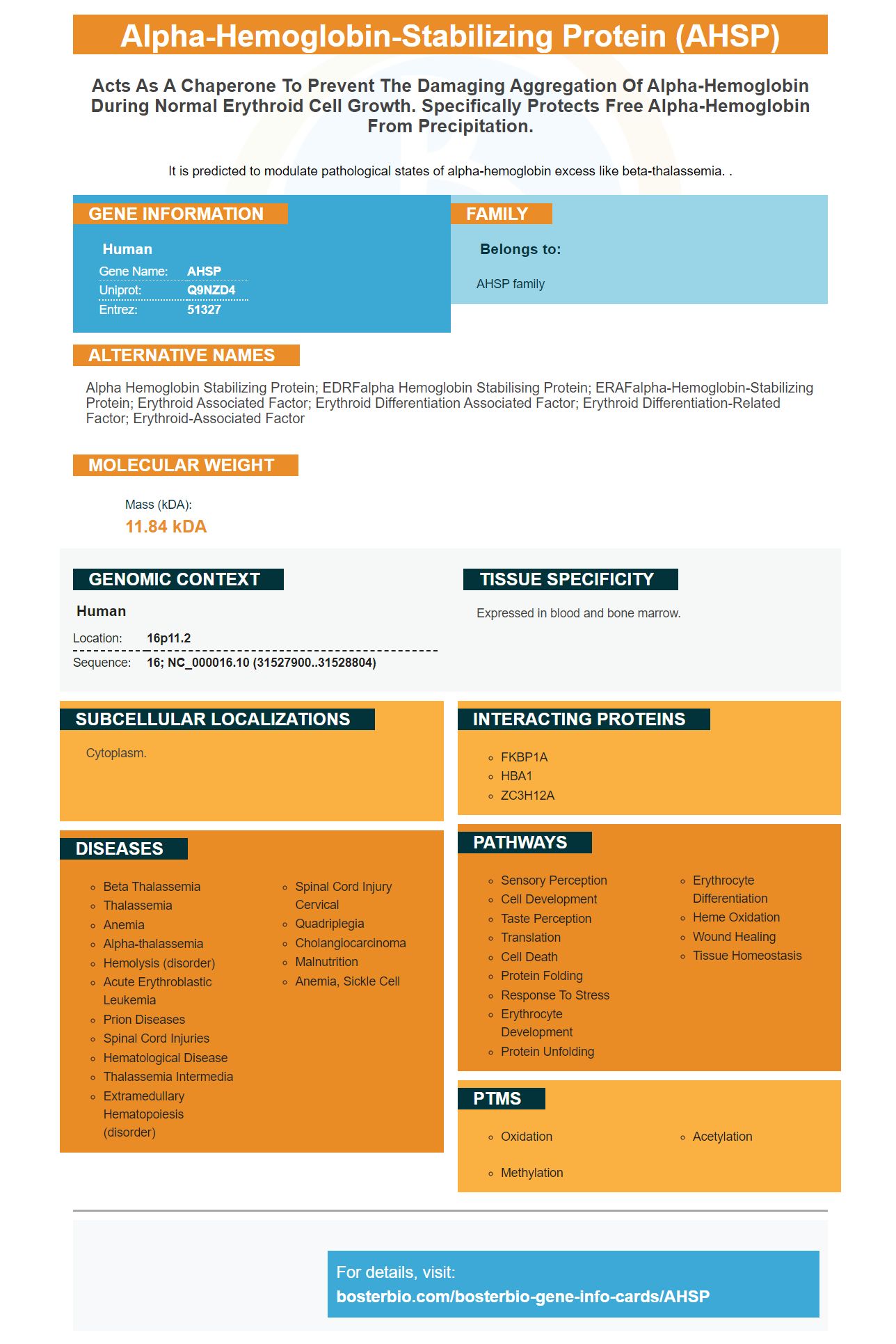 AHSP Antibodies & ELISA Kits, ERAF Proteins