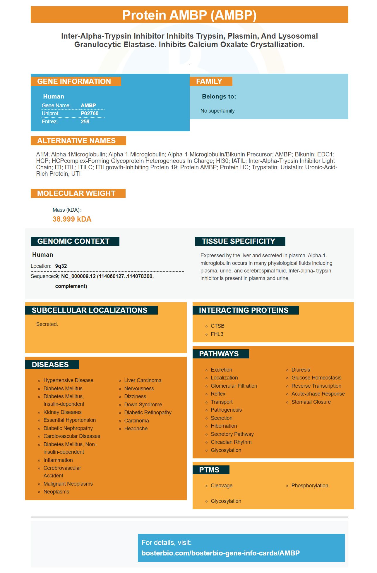 AMBP Antibodies & ELISA Kits, AMBP Proteins