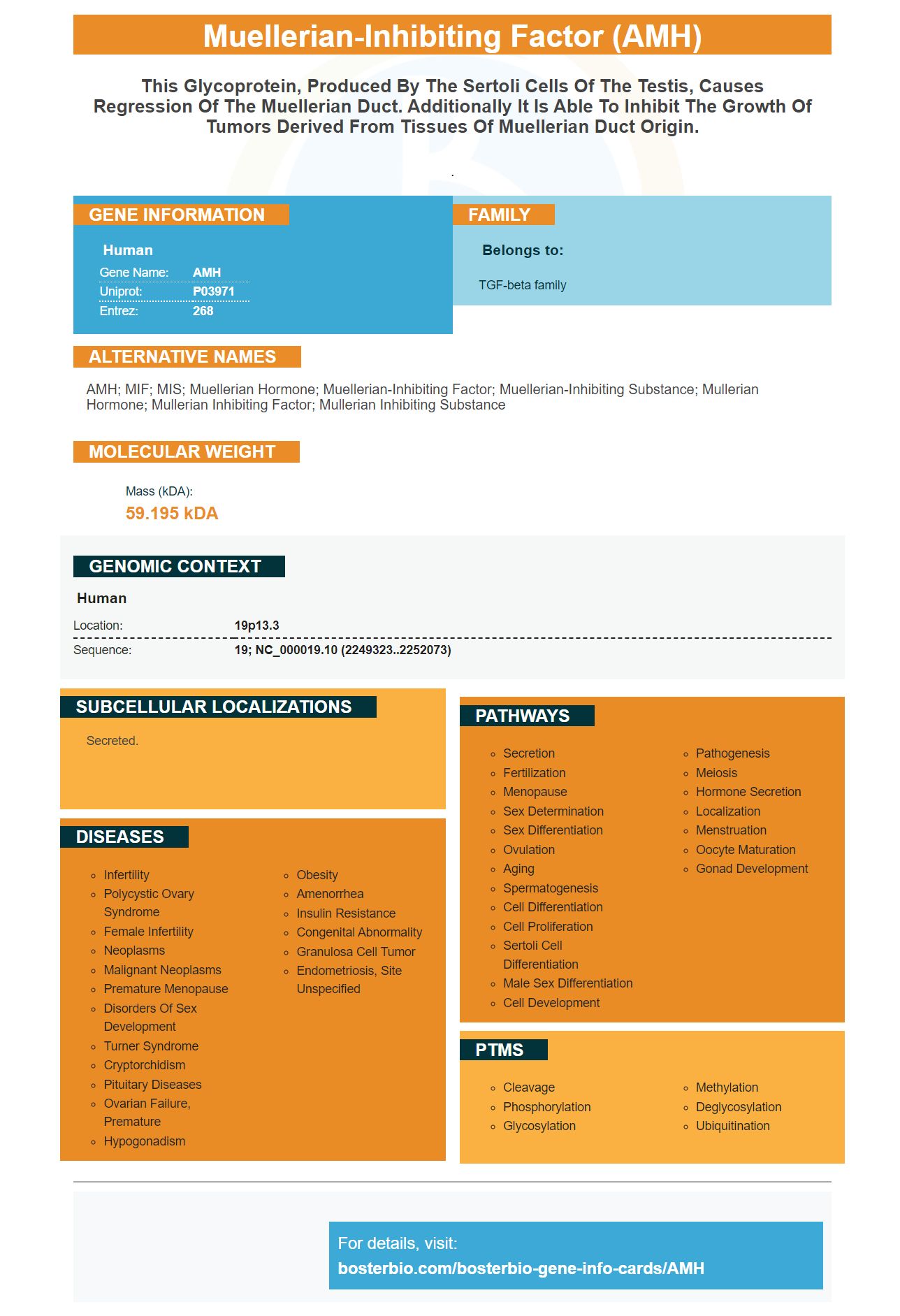 AMH Antibodies & ELISA Kits, MIS/AMH Proteins