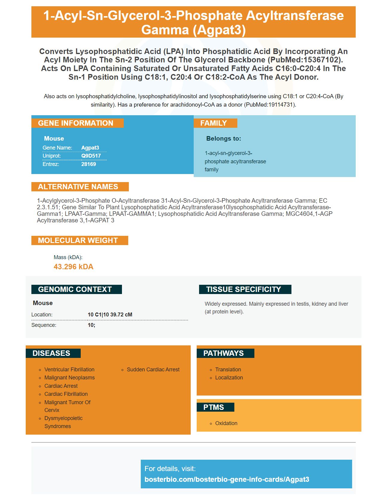AGPAT3 Antibodies & ELISA Kits, AGPAT3 Proteins
