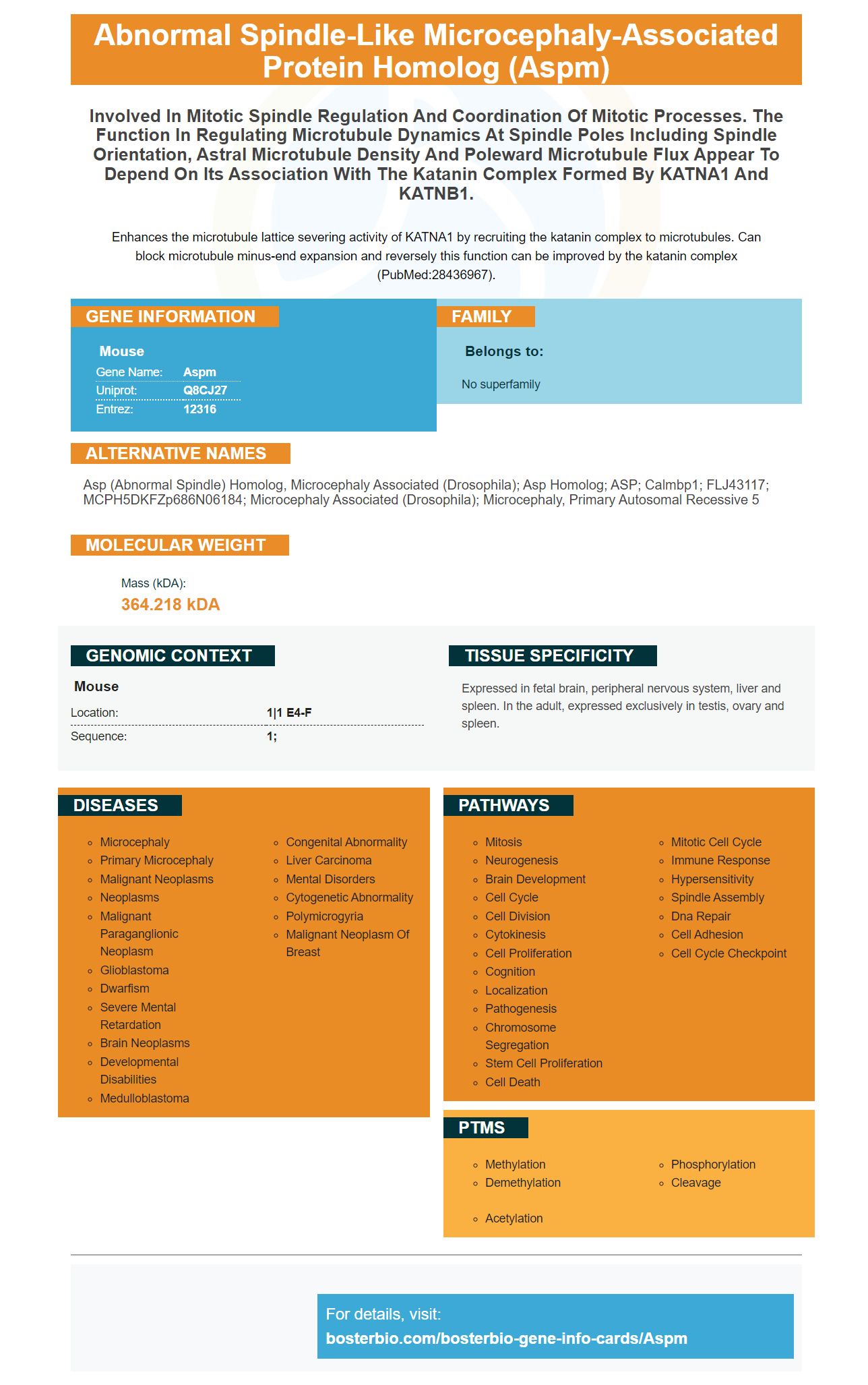 ASPM Antibodies & ELISA Kits, ASPM Proteins