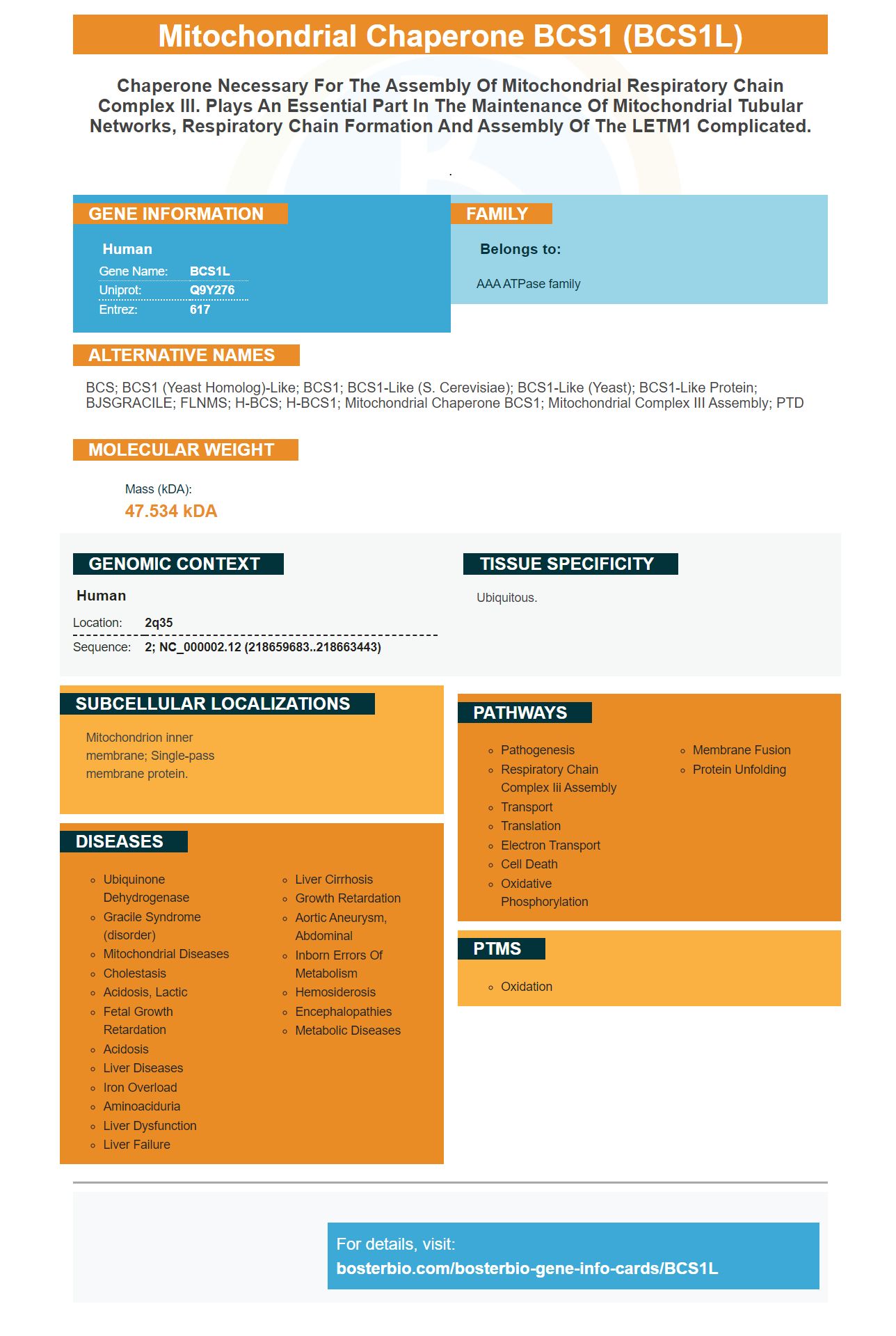 BCS1L Antibodies & ELISA Kits, BCS1L Proteins