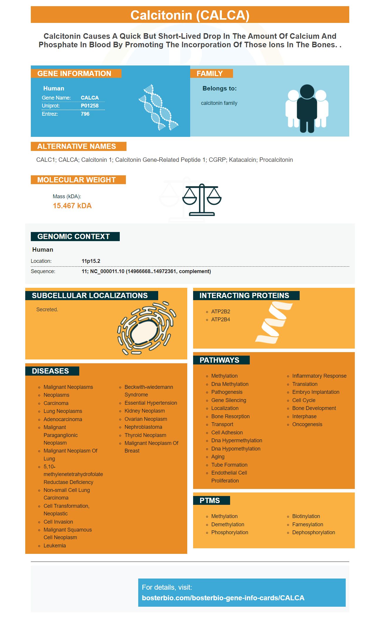 CALCA Antibodies & ELISA Kits, CALCA Proteins