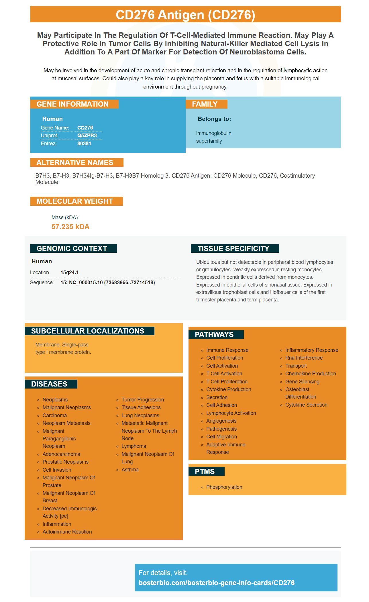 CD276 Antibodies & ELISA Kits, B7-H3/CD276 Proteins