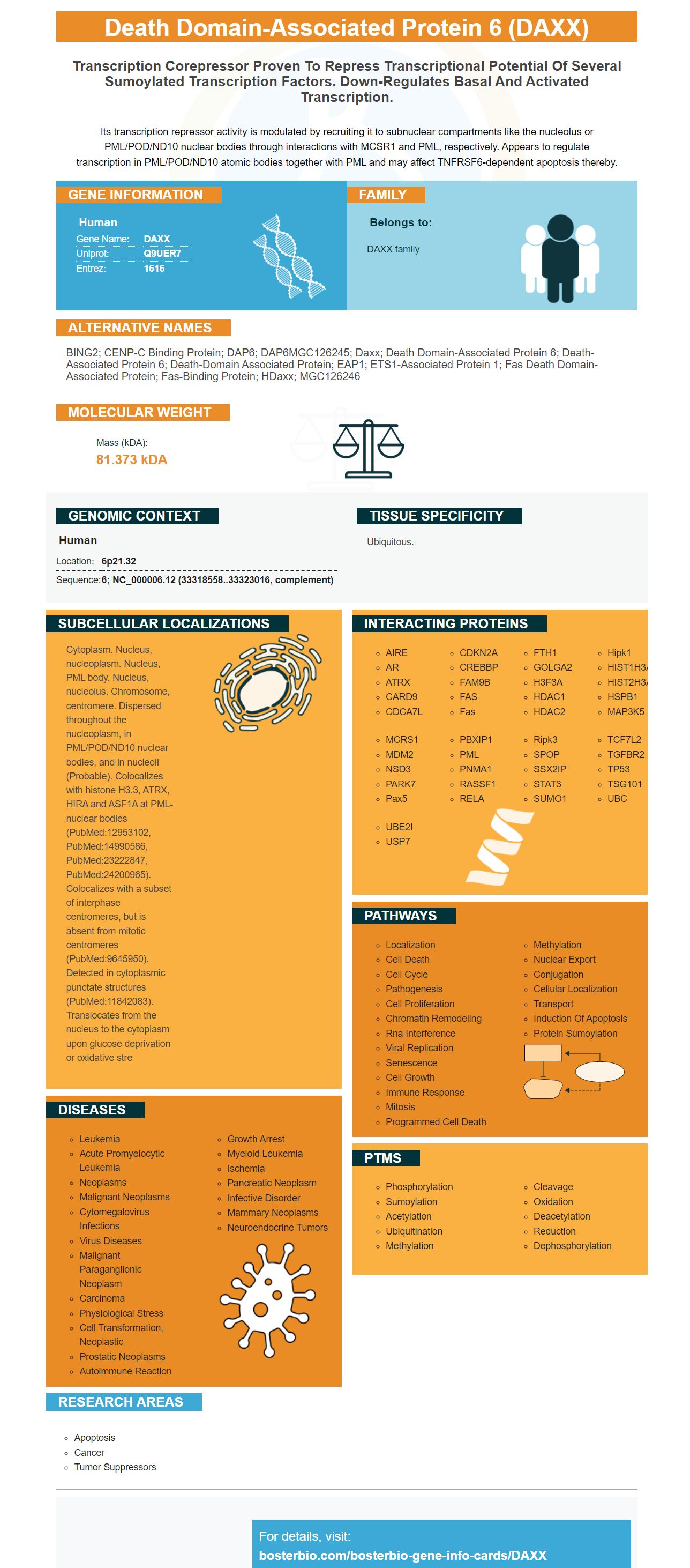 DAXX Antibodies & ELISA Kits, DAXX Proteins