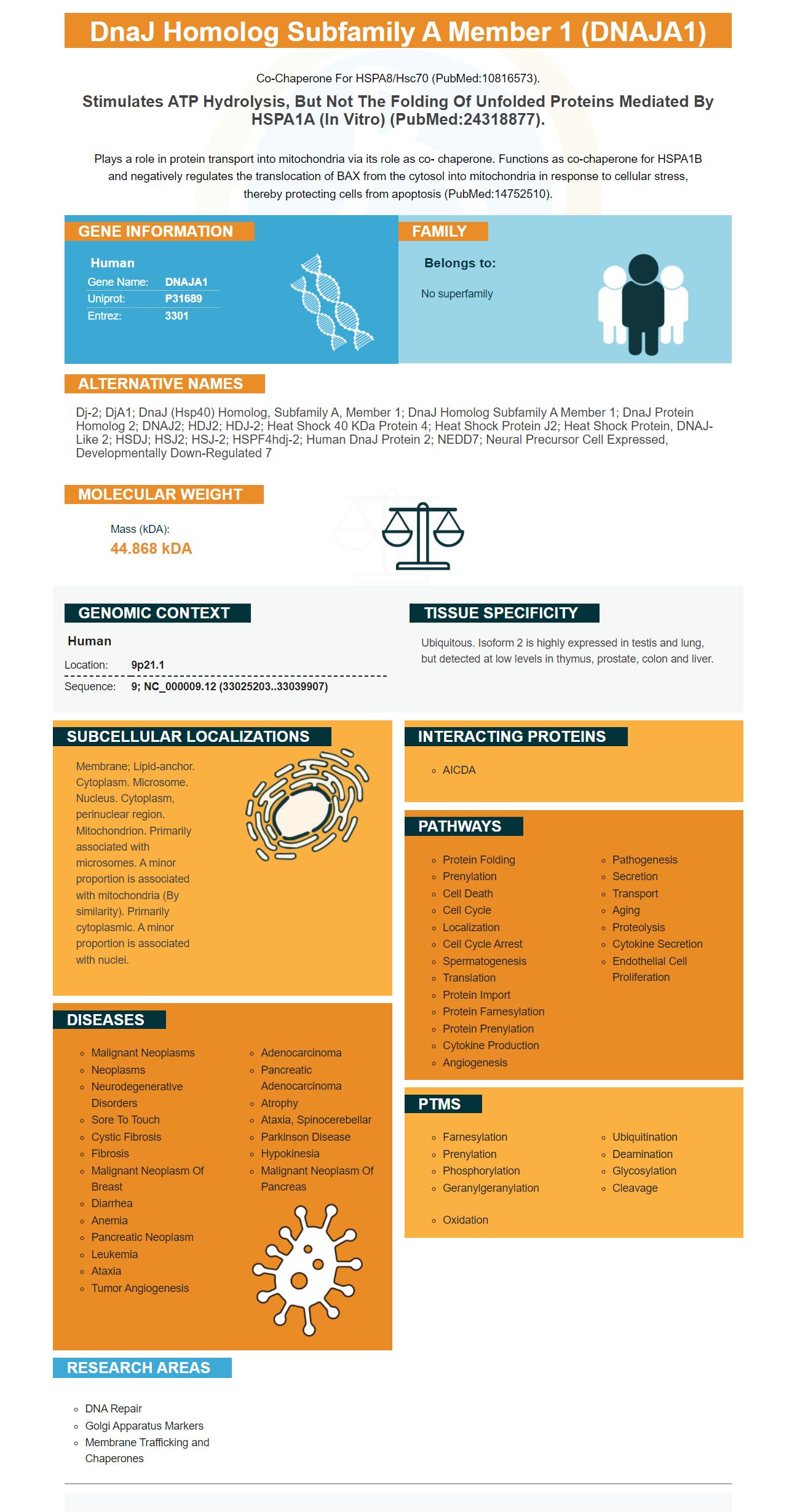 DNAJA1 Antibodies & ELISA Kits, HDJ2 Proteins