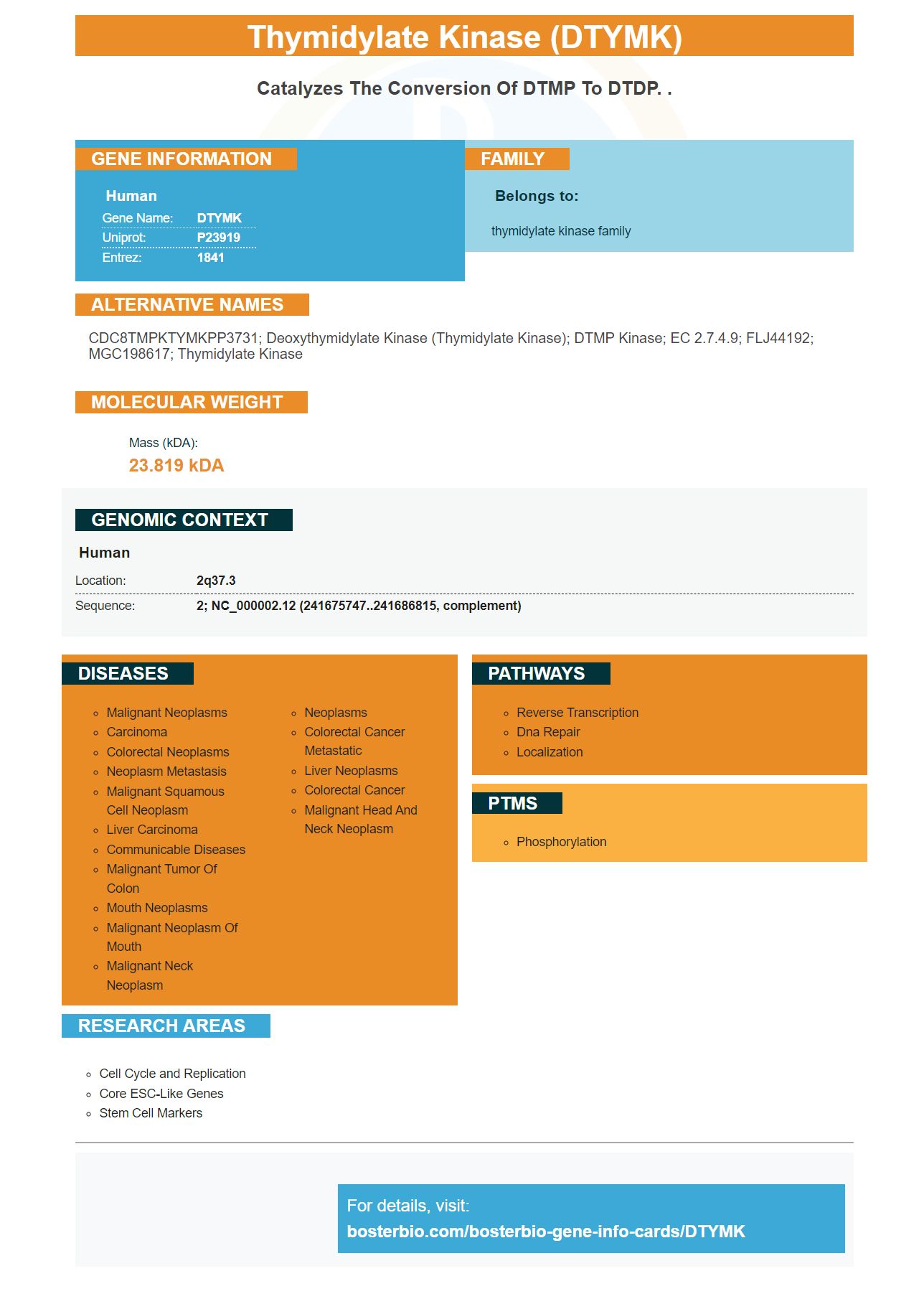 DTYMK Antibodies & ELISA Kits, DTYMK Proteins