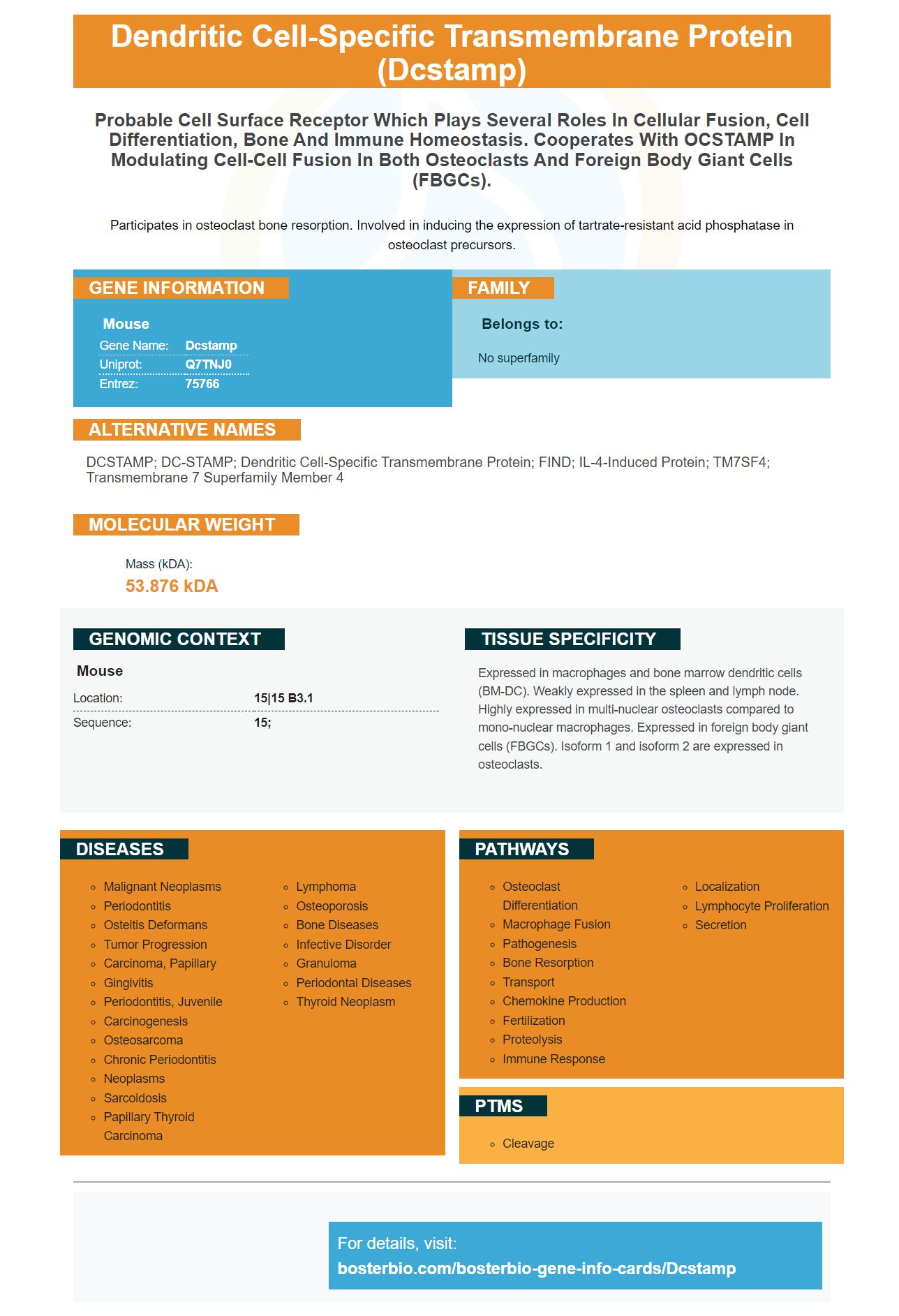 DCSTAMP Antibodies & ELISA Kits, DC-STAMP/TM7SF4 Proteins